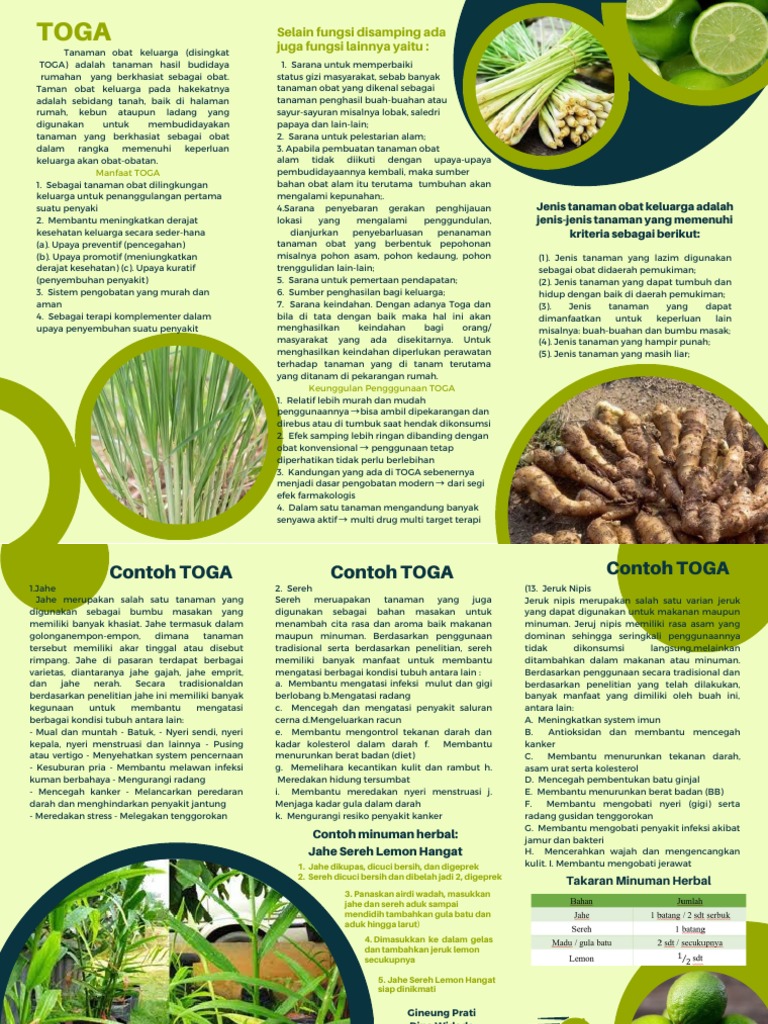 TOGA (Tanaman Obat Keluarga) | PDF