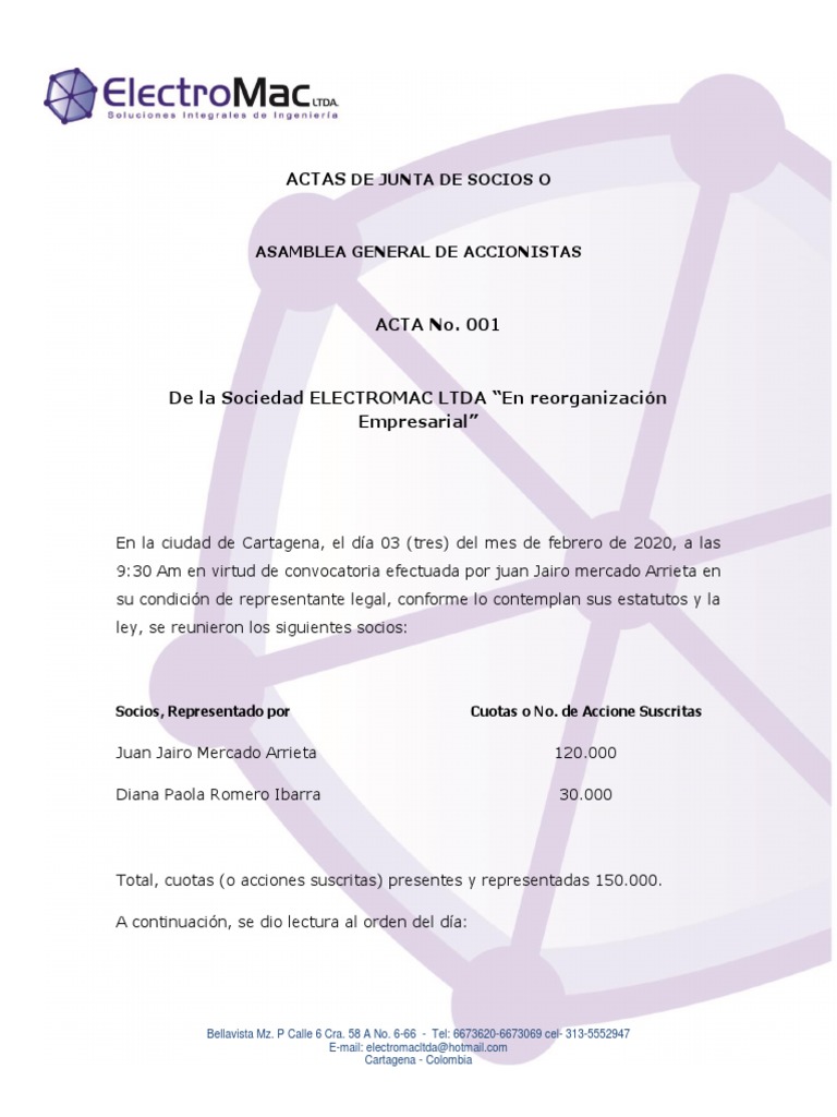 Acta Aprobacion de Eeff 2019 | PDF | Auditoría | Contabilidad