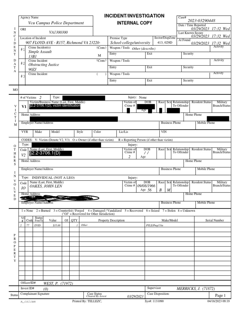 Incident Report: Simple Assault Case | PDF | Crimes | Crime & Violence