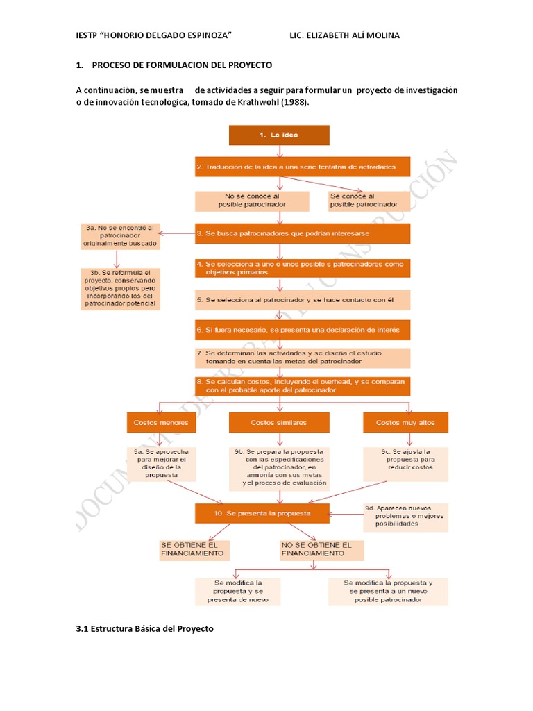 Tema 4 - Proceso de Formulacion Del Proyecto | PDF