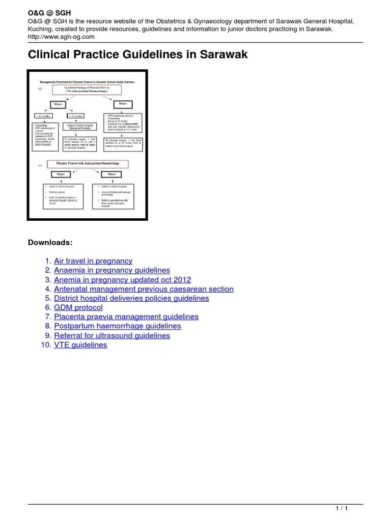 Clinical Practice Guidelines In Sarawak Pdf