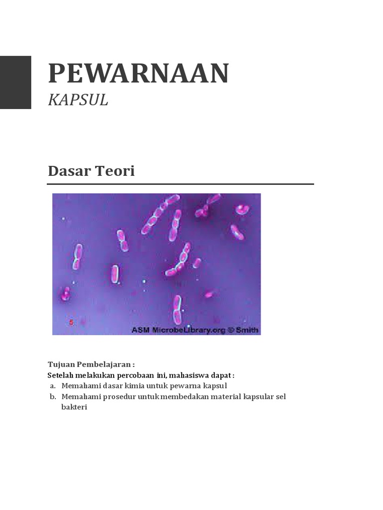 H. Pewarnaan Kapsul | PDF