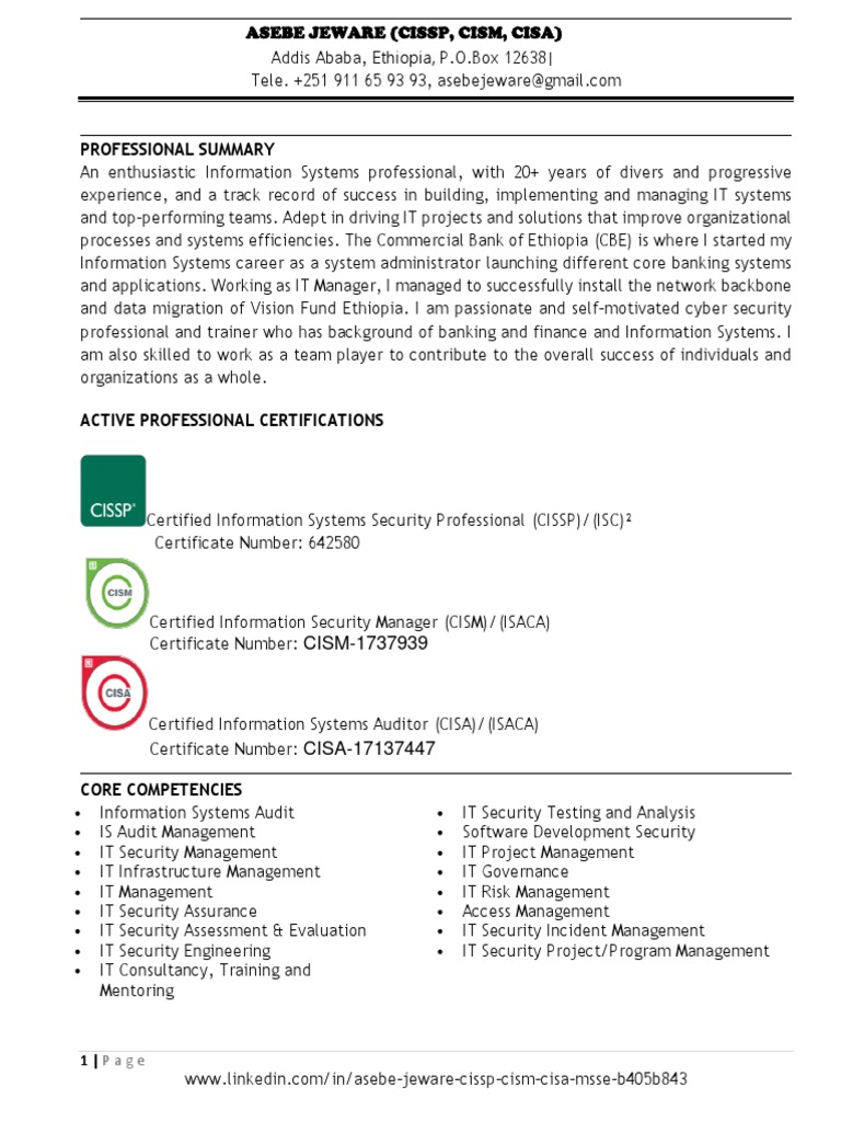 Asebe CV 120123 | PDF