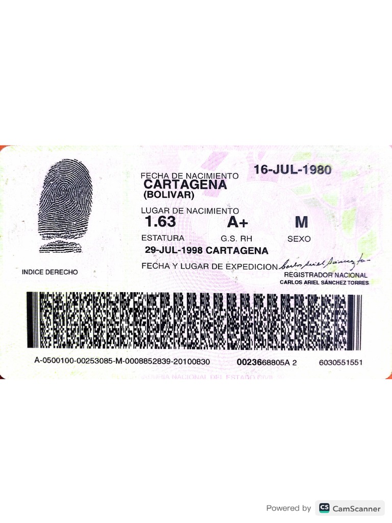 Cédula Javier | PDF