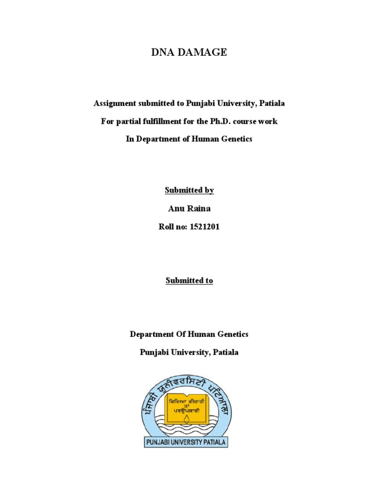 Dna Damage | PDF