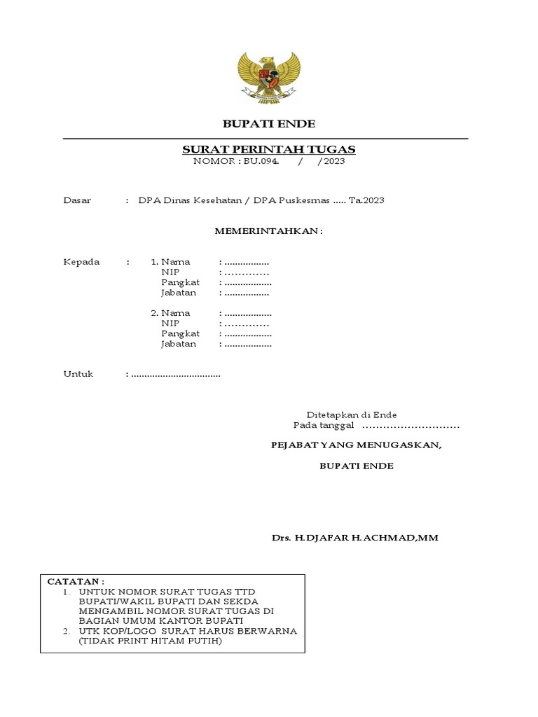 Contoh Surat Tugas Ttd Bupati Wakil Bupati Dan Sekda | PDF