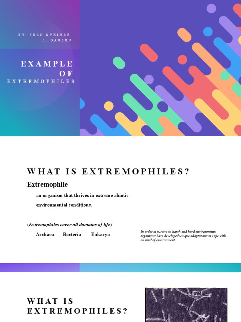 Example of Extremophiles | PDF | Bacteria | Salinity