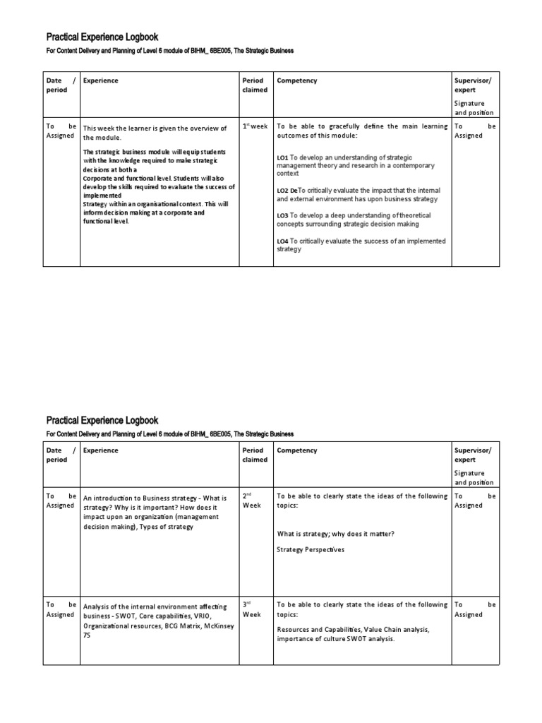 The Strategic Business - Logbook | PDF