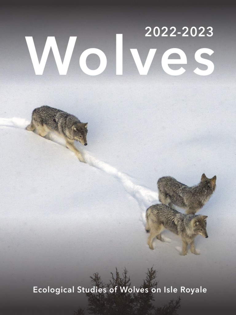 2022-2023 Isle Royale Wolf-Moose Report | PDF | Moose | Pack (Canine)