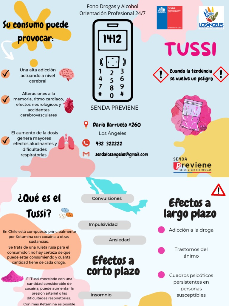 Tríptico Tussi | PDF
