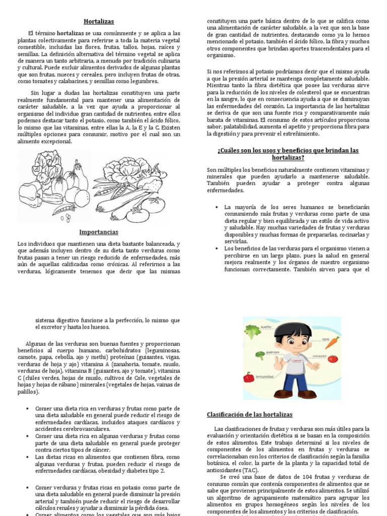 Hortalizas | PDF | Vegetales | Dieta