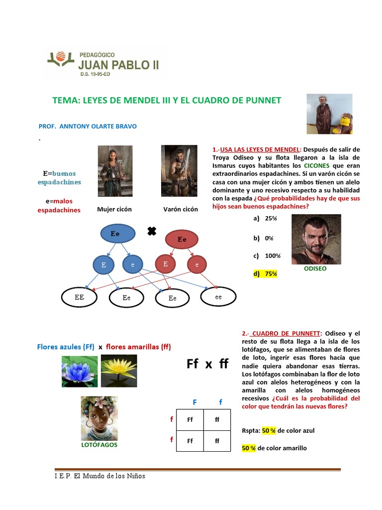Anexo Teoría de Mendel III | PDF | Dominancia (Genética) | Genética