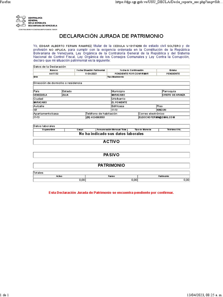 Declaración Patrimonial Pendiente | PDF