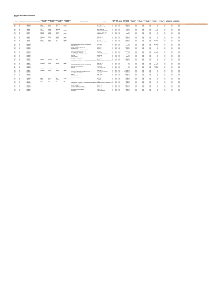 Formato 1001 | PDF