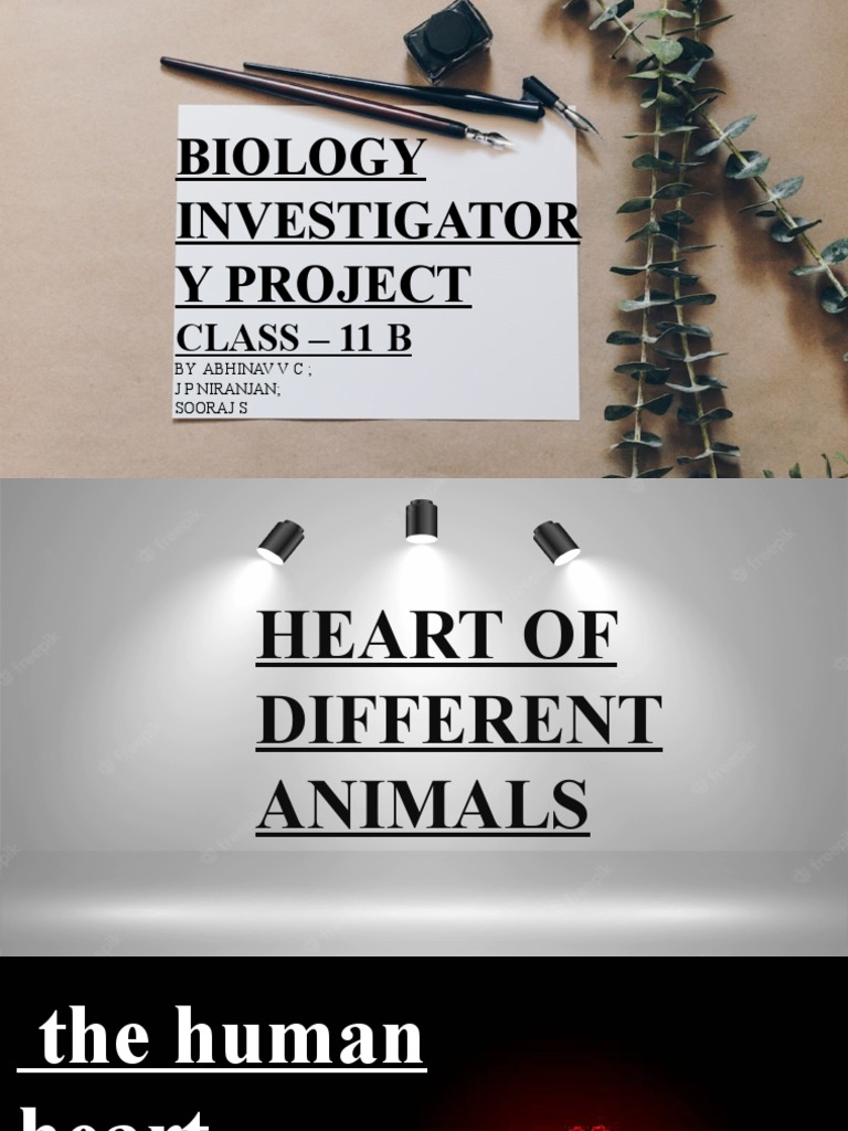 Biology Project | PDF | Heart | Atrium (Heart)