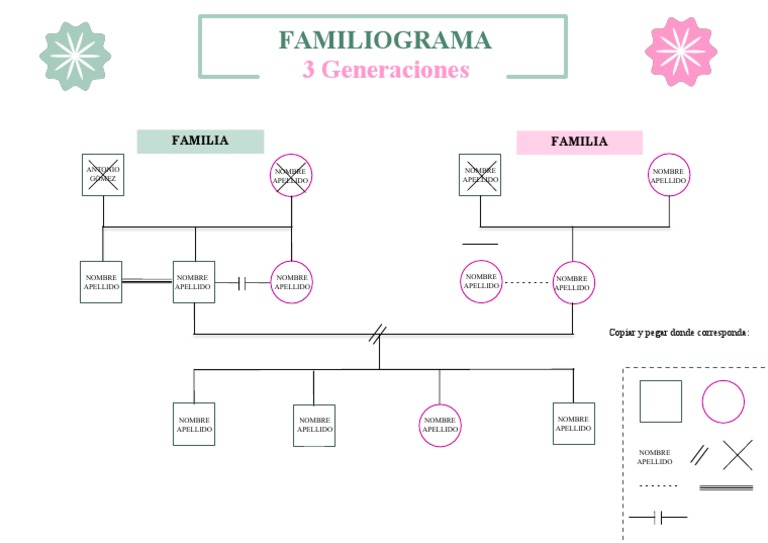 Ejemplo De Familiograma 3 Generaciones Pdf