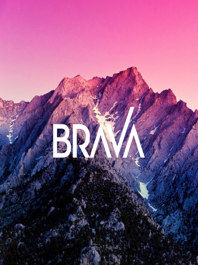 Brava Contenidos | PDF