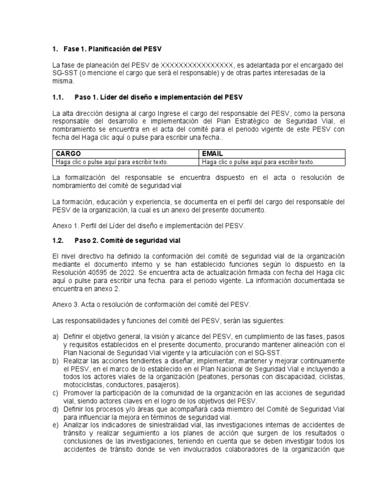 Modelo PESV - RESOLUCIÓN | PDF