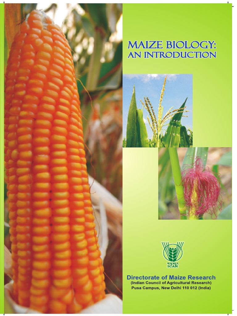Maize Biology An Introduction | PDF