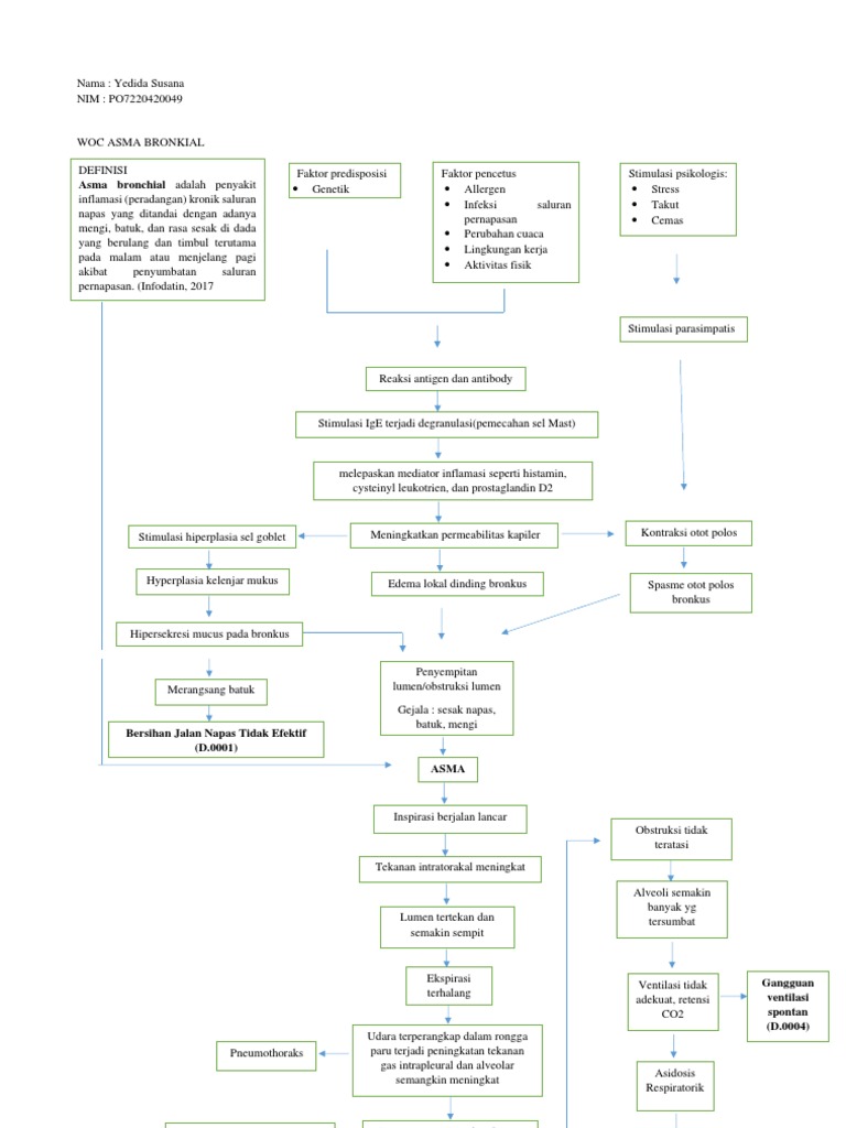 Woc Asma Bronkial | PDF