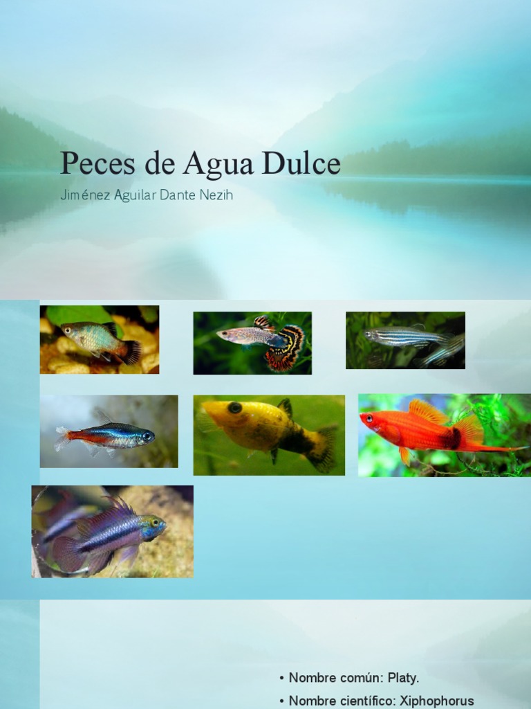 Peces de Agua Dulce | PDF