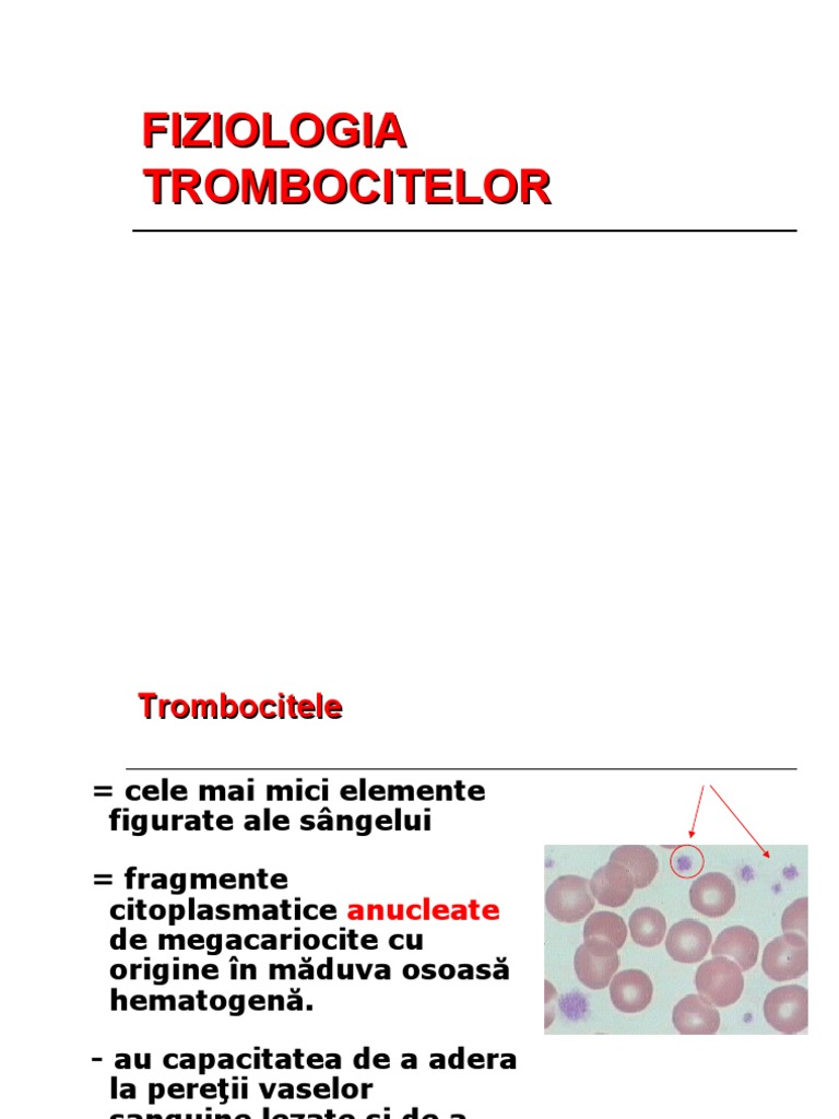 Fiziologia Trombocitelor | PDF