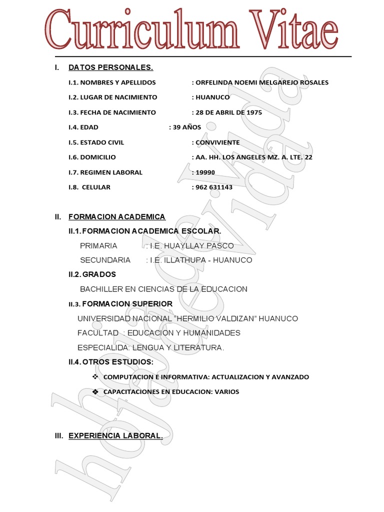 Curriculum Noemi | PDF