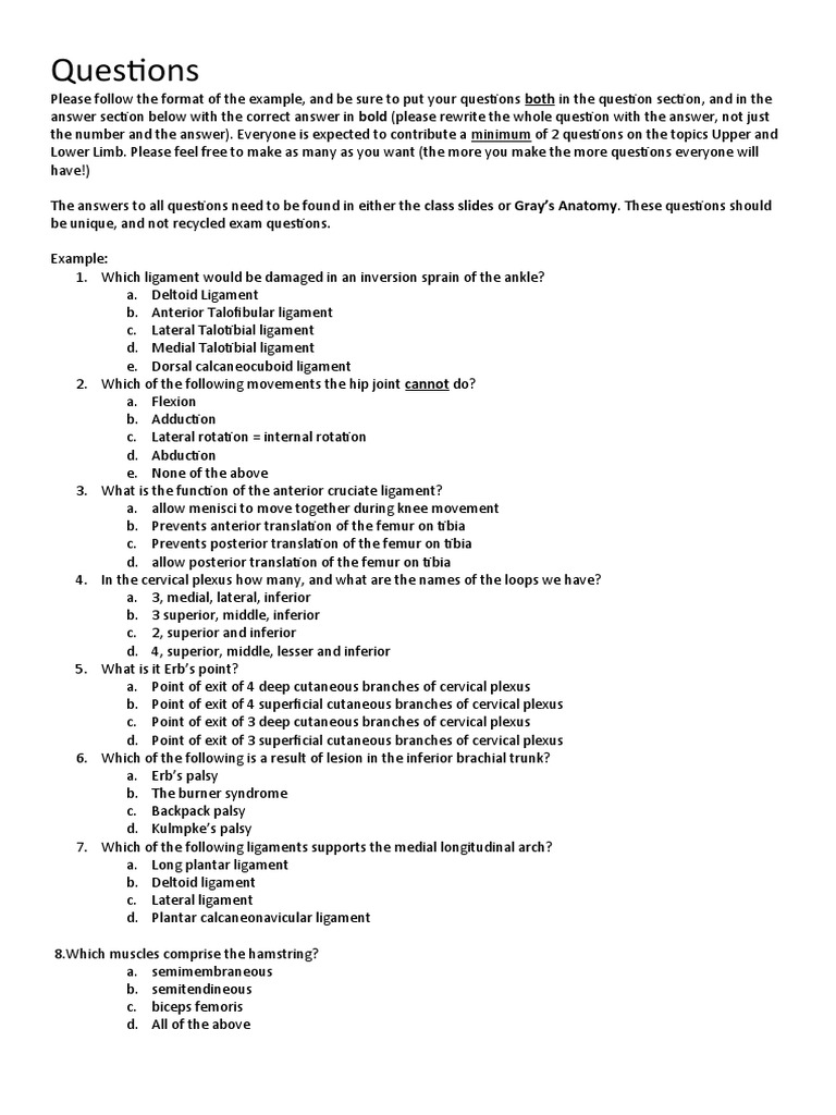 Upper and Lower Limb Anatomy Questions | PDF