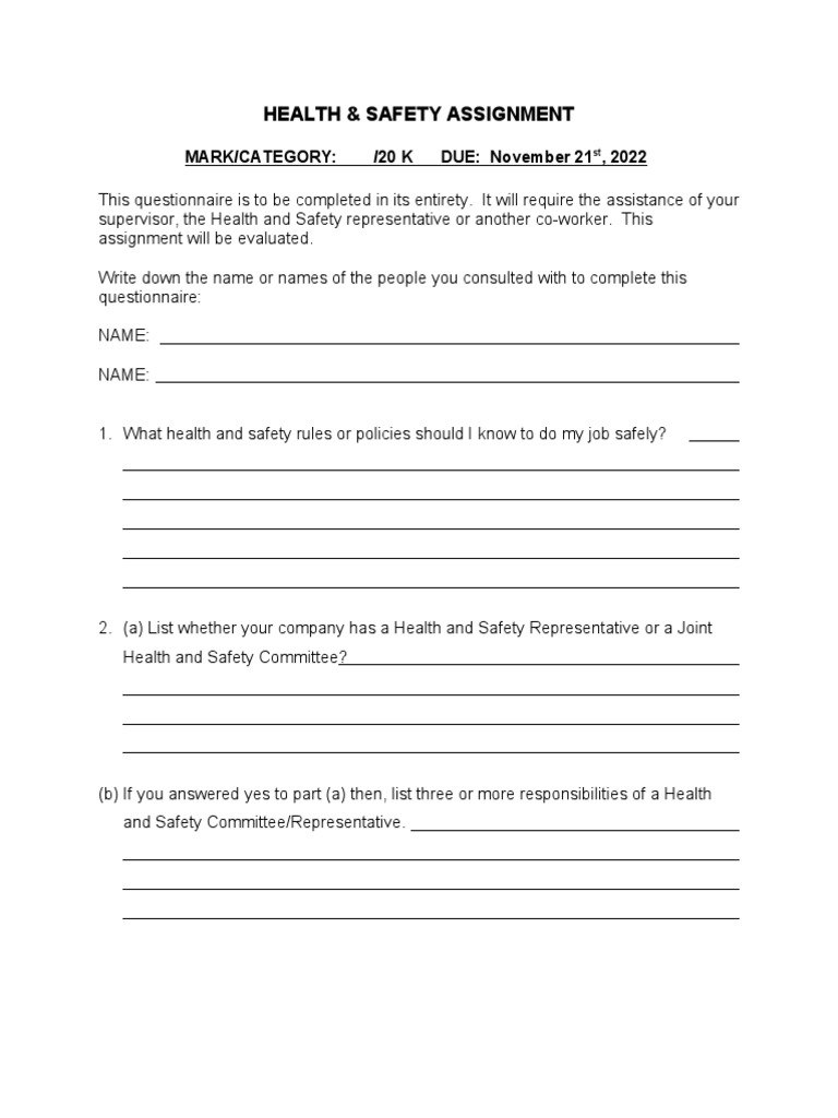 Health and Safety Assignment | PDF