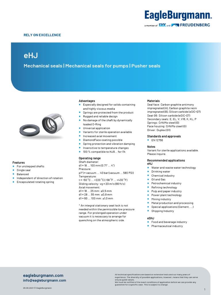 EagleBurgmann eHJ EN | PDF