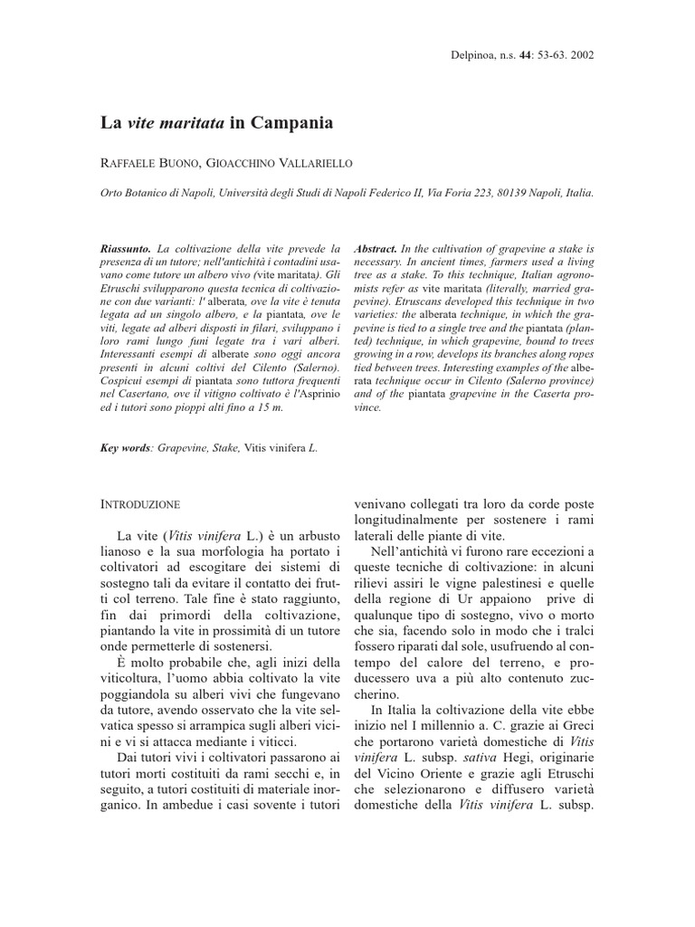 Vite | PDF