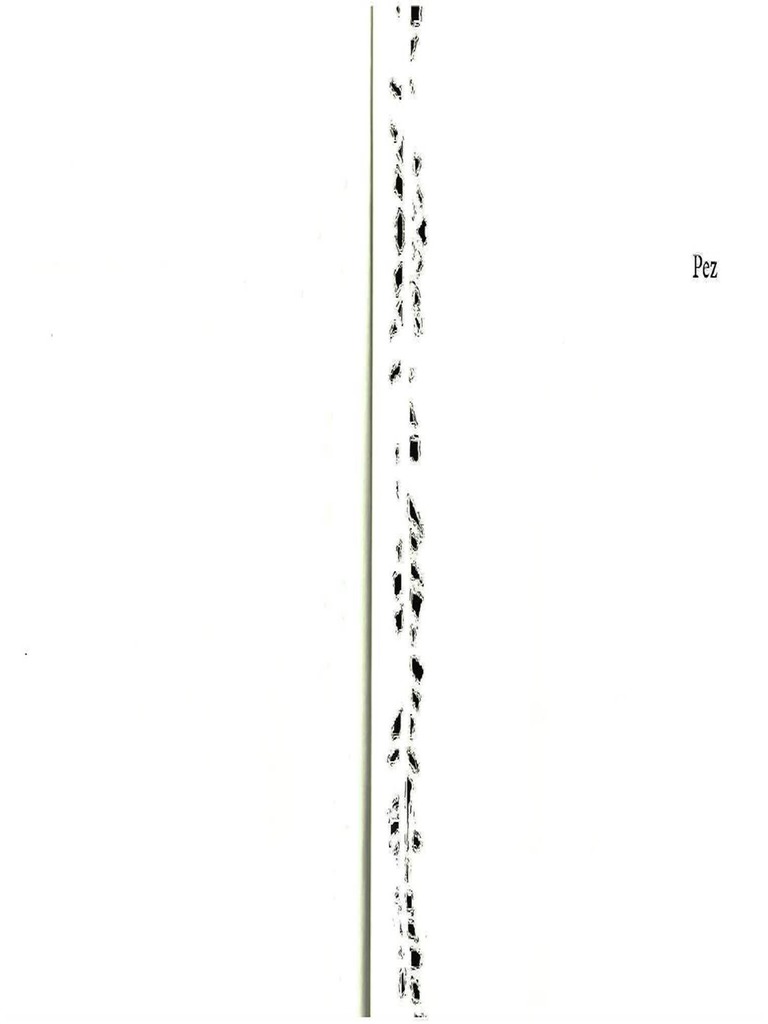 Pez Paula Tomassoni | PDF