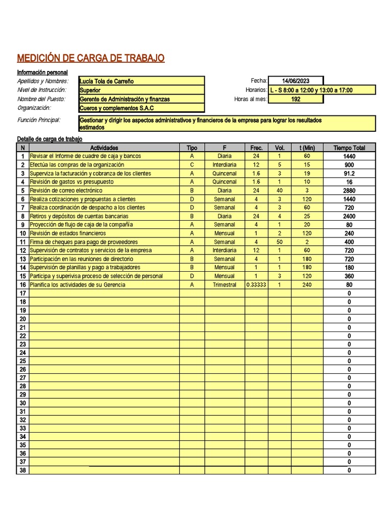 Caso Cueros y Complementos - Carga de Trabajo - Perfil - 2020 | PDF