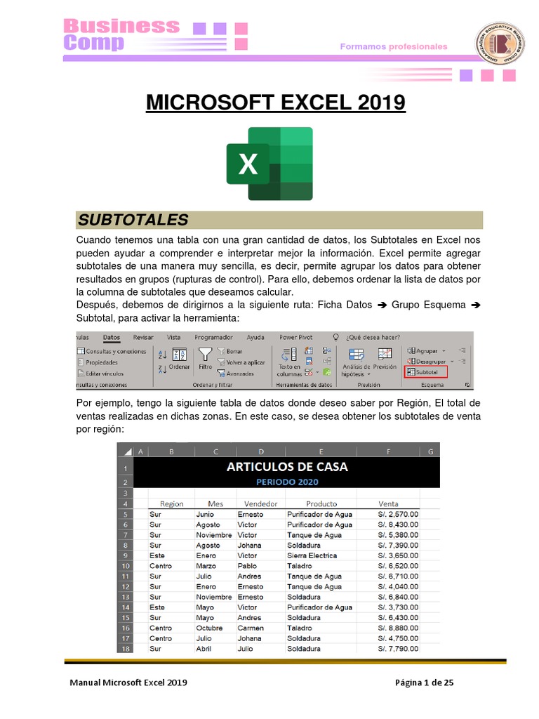 Guia Excel Avanzado - Subtotales y Esquemas | PDF
