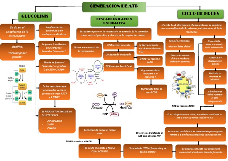 Atp Mapa | PDF