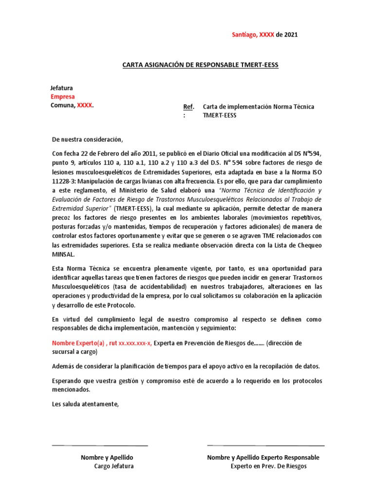 Carta Asignacion de Responsable Tmert-Eess | PDF