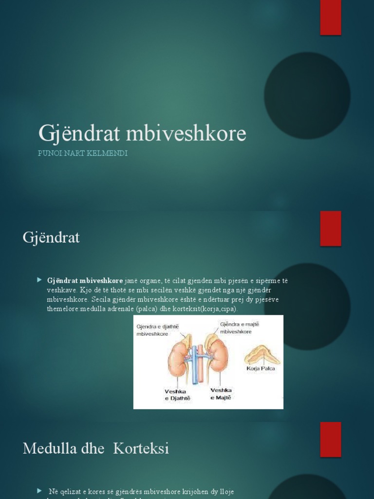 Gjëndrat Mbiveshkore | PDF