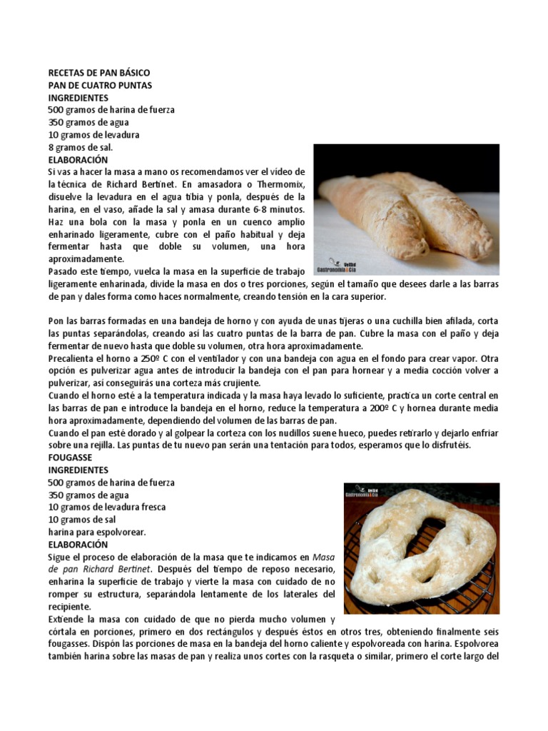 Recetas de Pan Básico | Descargar gratis PDF | Panes | Agua