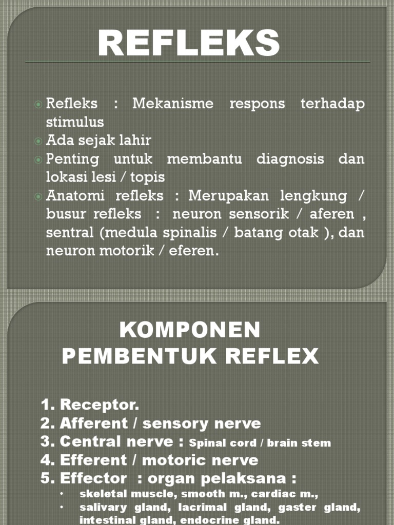 Praktikum Faal-Pemeriksaan Refleks | PDF