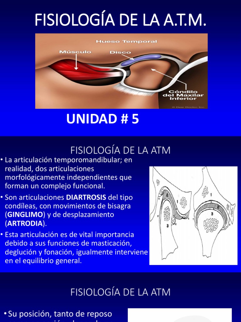 Tema 5 Fisiologia de La Atm | PDF