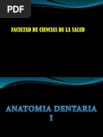 Cíngulo Dental: Revisión y Funciones | PDF | Boca | Odontología