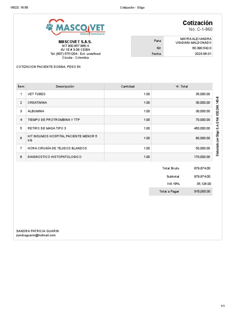 Cotizacion Mayra Viggiani | PDF