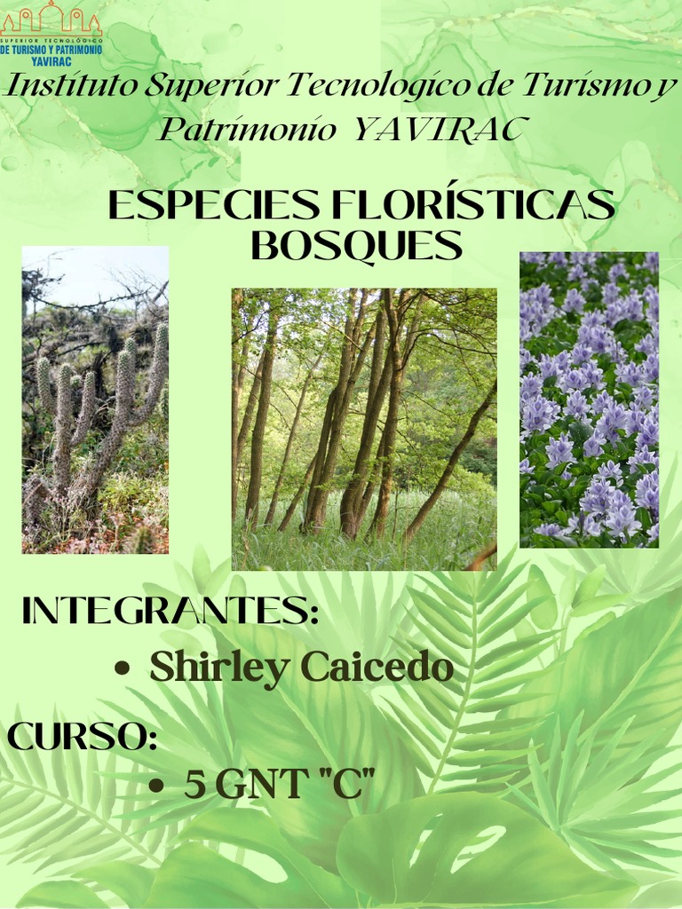 Matorral Seco de La Costa | PDF