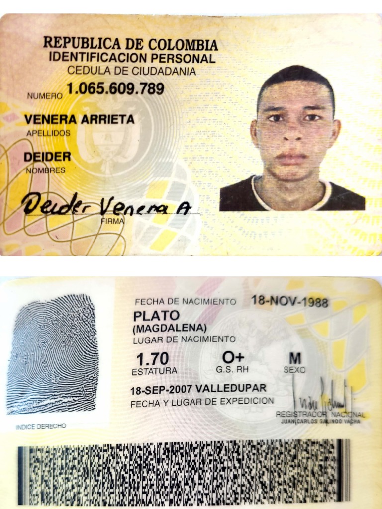 Cédula Chatarra | PDF