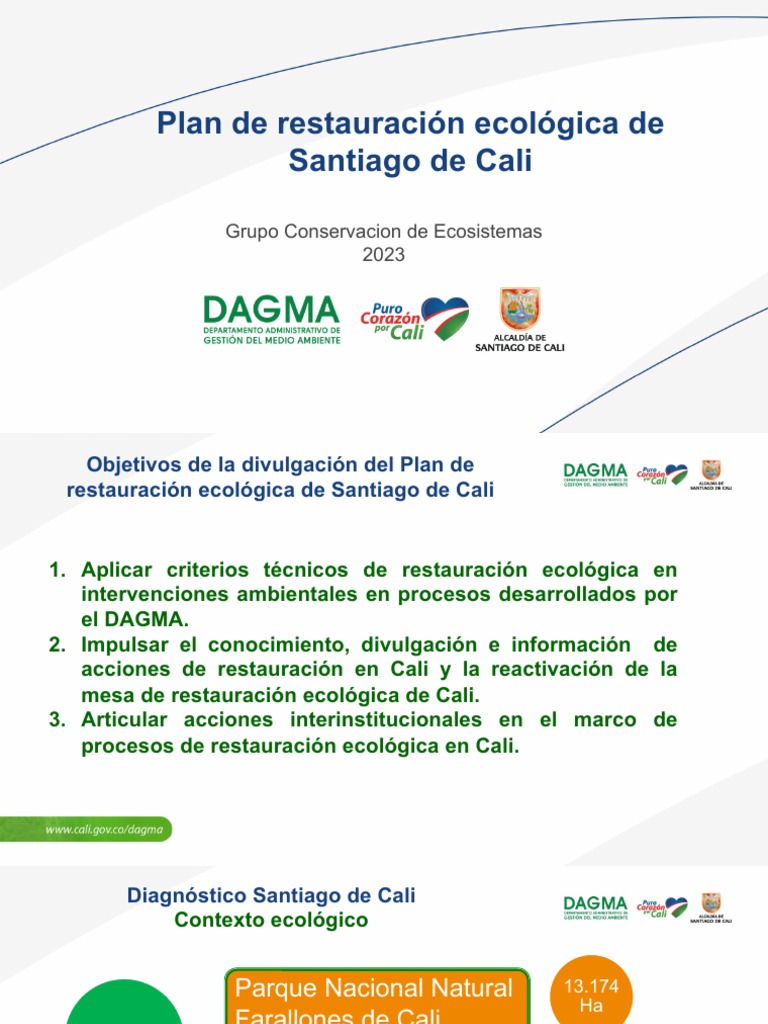 Plan de restauración Cali para SIMAP y grupos DAGMA | PDF