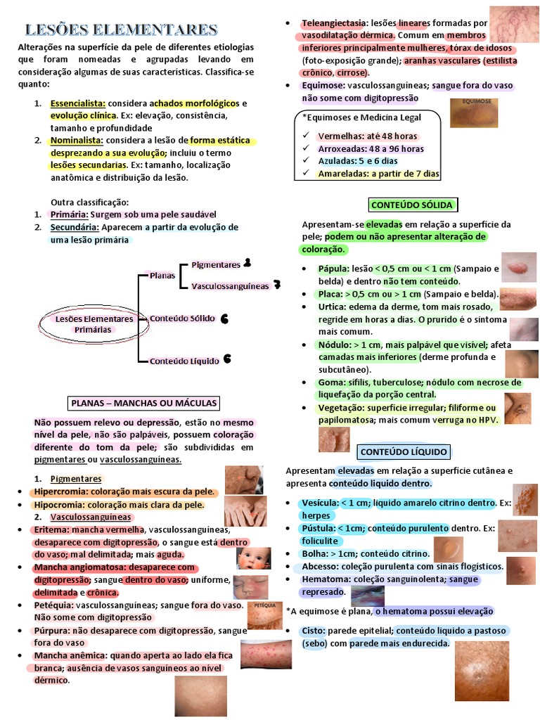 Classificação de Lesões Dermatológicas | PDF | Pele | Especialidades ...