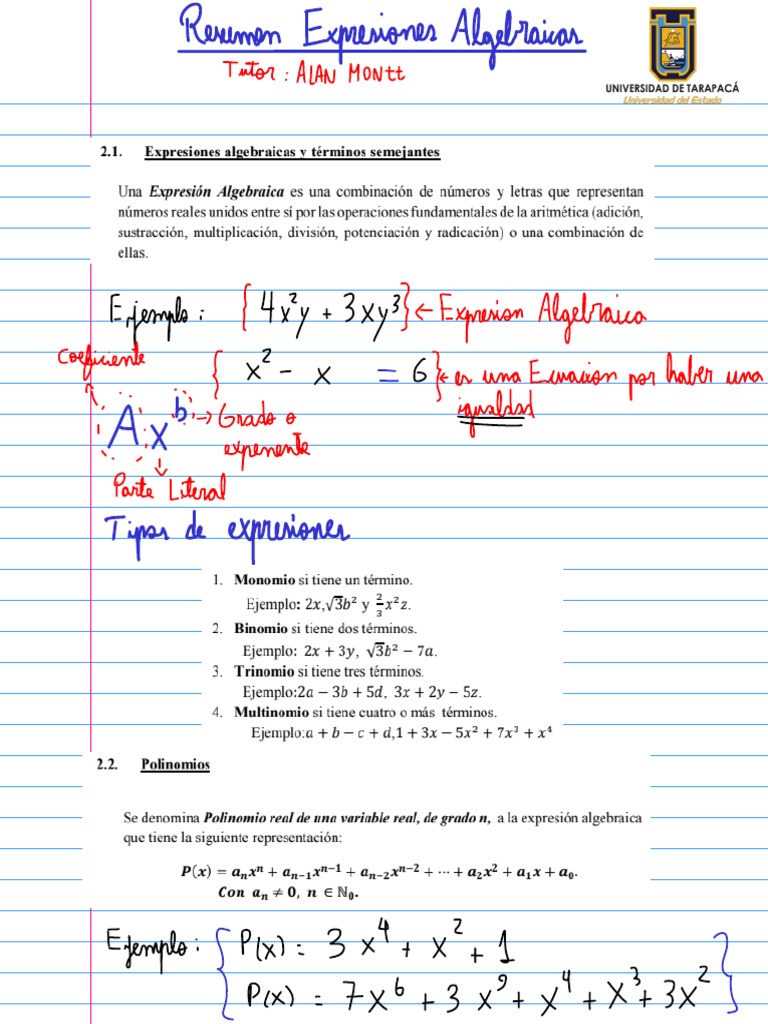 Resumen Expresiones Algebraicas A Factorizacion Introduccion Al Algebra ...