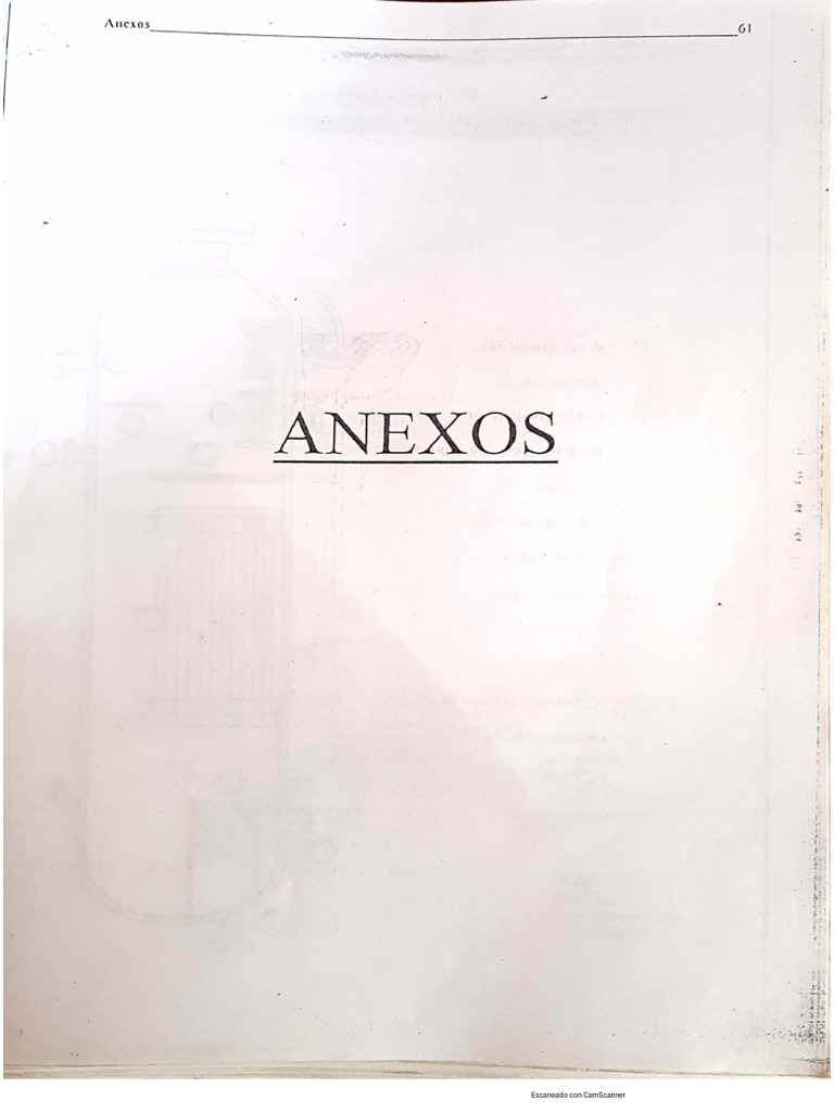 Anexos | PDF