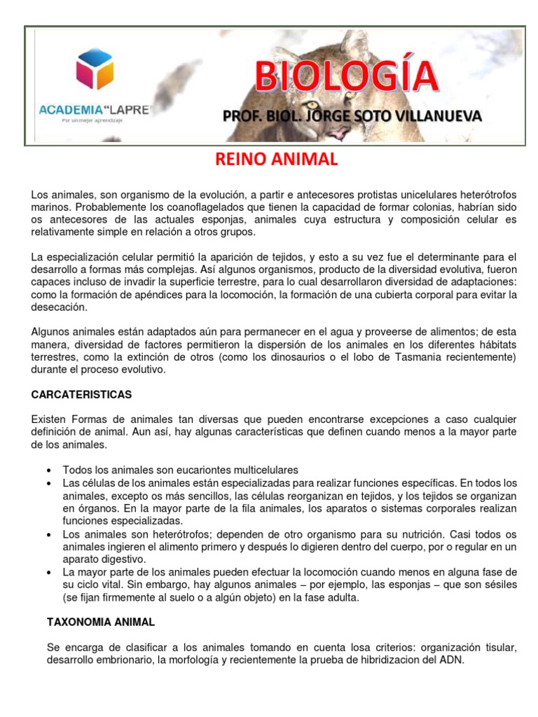 Semana 5 - Biología - Reino Animal | PDF | Embrión | Biología