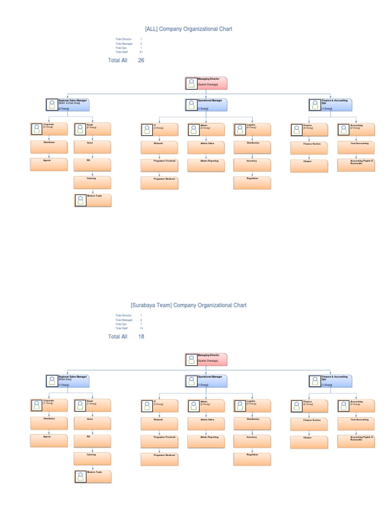 Company Organizational Chart Overview | PDF | Business Economics ...